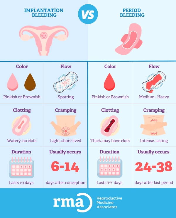 What is Implantation Bleeding? All You Need to Know | RMA